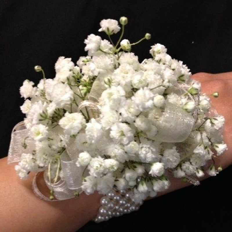 Susanna – Flowers Of Adelaide